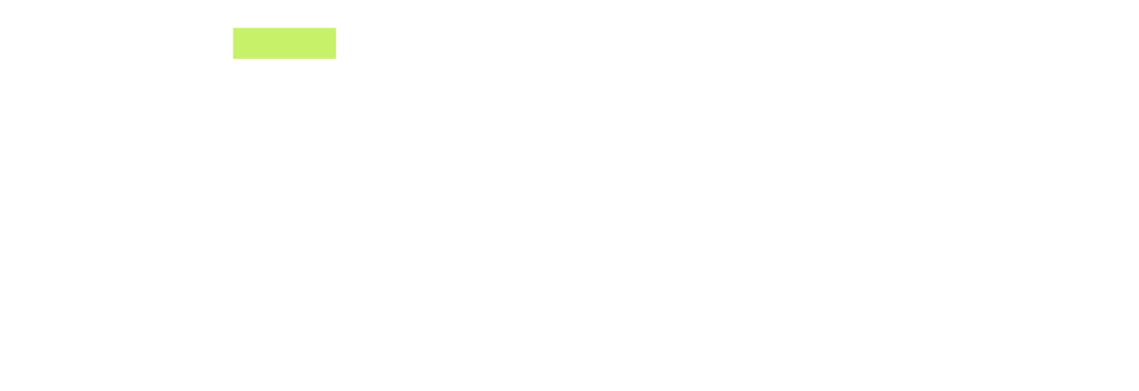 Spiegel Ryan - Ally Law